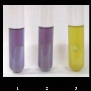 Kemiteks Kimyevi Maddeler Tic. ve Ltd. Şti. | Dehidre Kültür ...